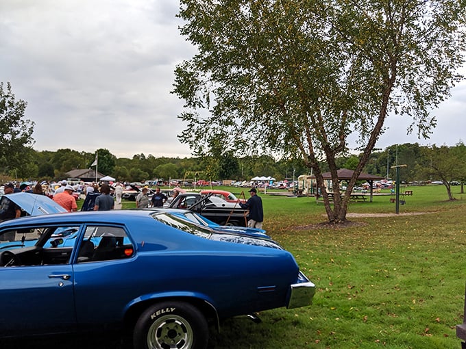 Classic cars and community spirit&mdash;when Aurora locals gather at Sunny Lake Park, stories flow as freely as the nearby waters.