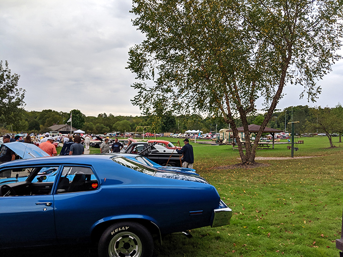 Classic cars and community spirit&mdash;when Aurora locals gather at Sunny Lake Park, stories flow as freely as the nearby waters.