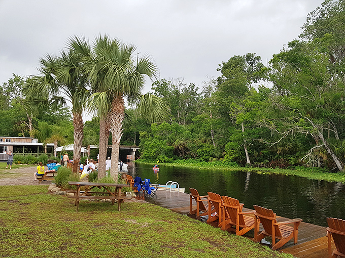 Adirondack chairs line the waterfront like expectant theater-goers. The show? Florida's most spectacular natural water feature, running continuously since prehistoric times.