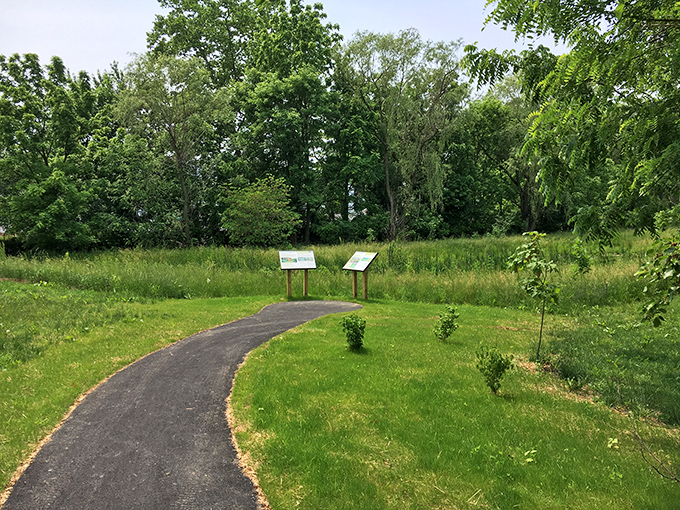 Nature trails around Lititz offer peaceful escapes just steps from downtown. These educational paths invite visitors to slow down and appreciate the local ecosystem.