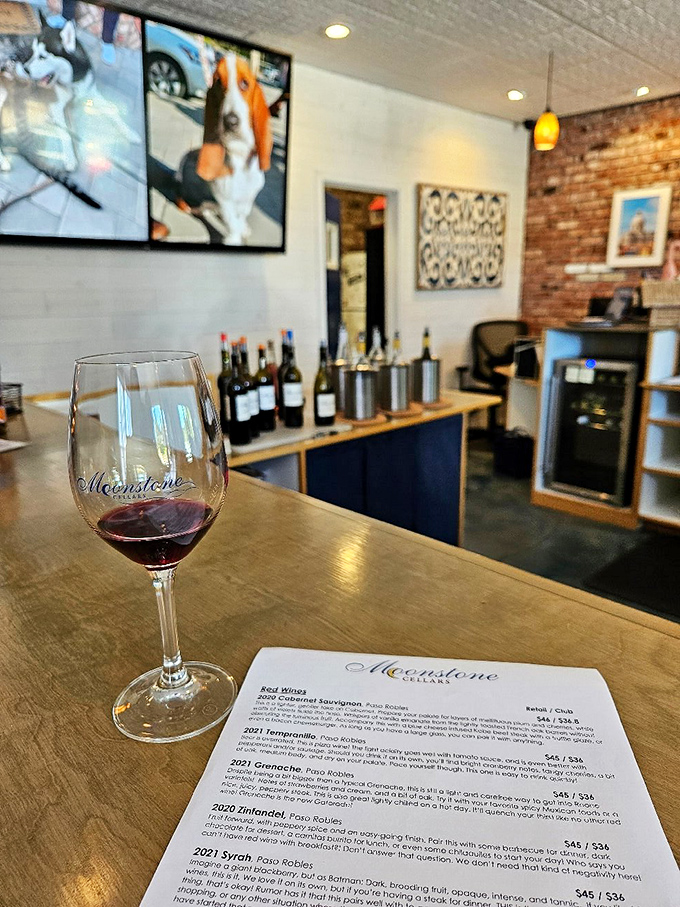 Wine tasting in Cambria: where "just one more glass" becomes the afternoon's mantra and nobody minds one bit.