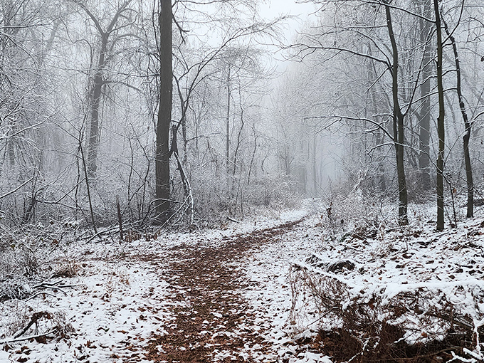Winter transforms Boyd into a hushed wonderland where each footstep writes your story in fresh snow &ndash; nature's guest book.