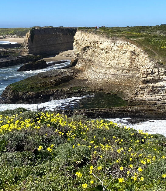 7000 acre park california ftr