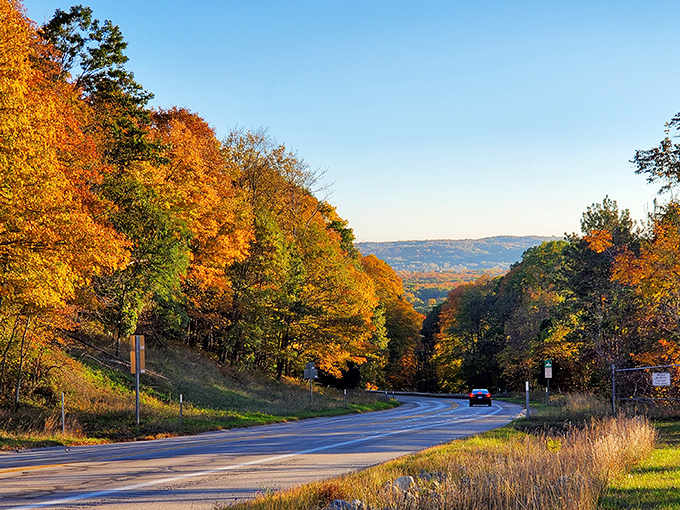 Scenic overlooks reveal Michigan's wild beauty stretching far beyond what any photograph captures.