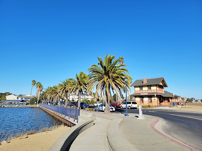 Benicia's waterfront promenade&mdash;where palm trees stand at attention and the water sparkles like it's auditioning for a postcard.