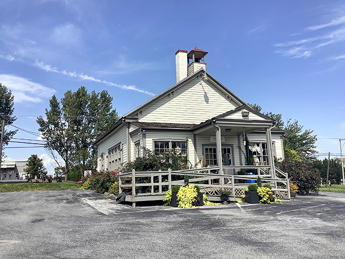 Bird-in-Hand's architecture is as straightforward as its cooking. No pretension, just perfection in every bite.