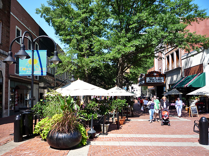 Charlottesville's pedestrian mall invites lingering over coffee or browsing local shops. Where university energy meets retirement leisure in perfect harmony.
