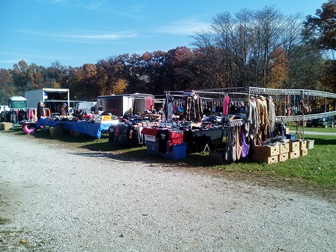 Croy Creek in autumn is a feast for the eyes. The treasures match the colorful surroundings!