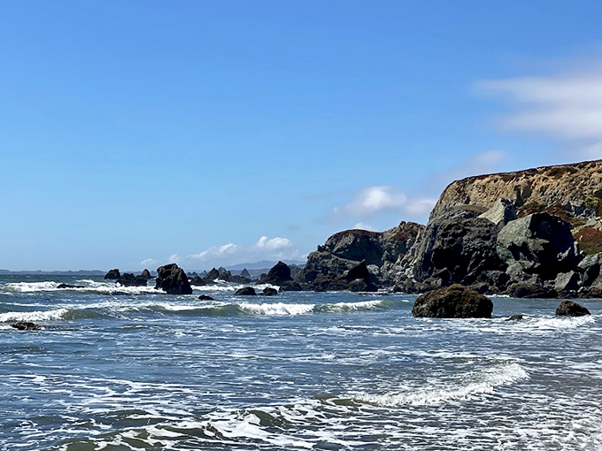 Dillon Beach stretches toward forever, where dogs can run until their hearts are content. That's what I call social distancing!