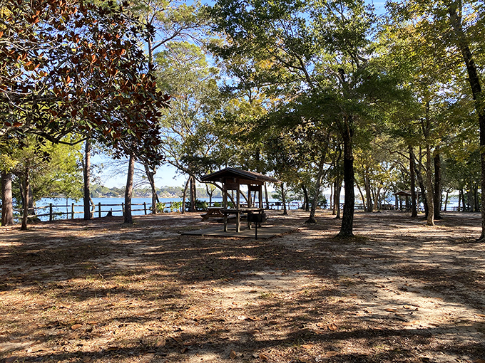 Picnic spots under pines so tall they tickle clouds &ndash; your sandwich never had such distinguished company.