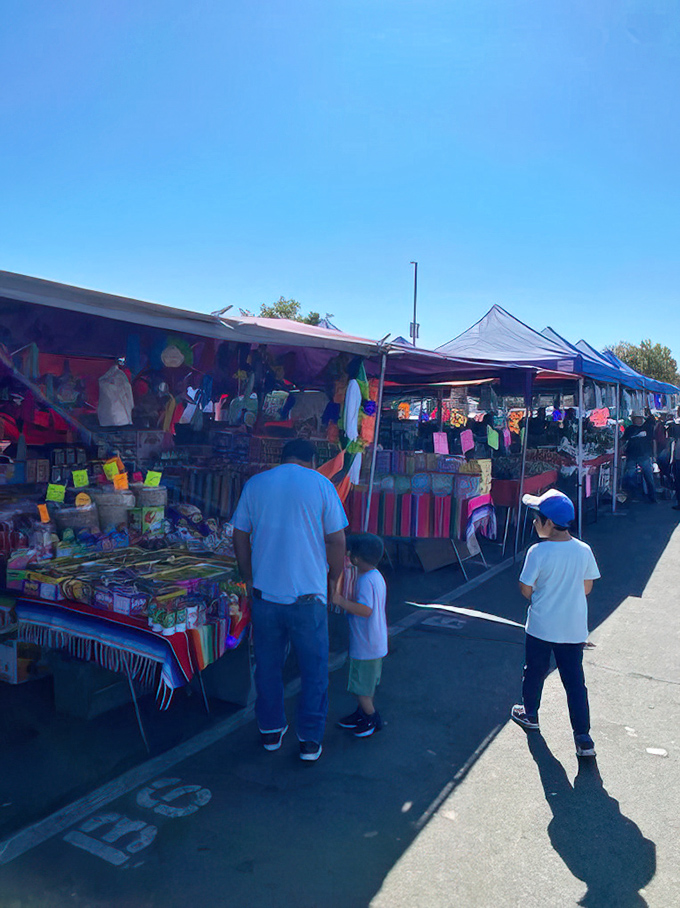 Small-town charm meets big-time bargains in Galt, where vendors spread their wares with hometown pride.