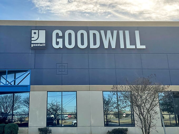 Goodwill's sleek blue exterior might look corporate, but inside it's the Wild West of thrifting—where only the quick-handed survive.