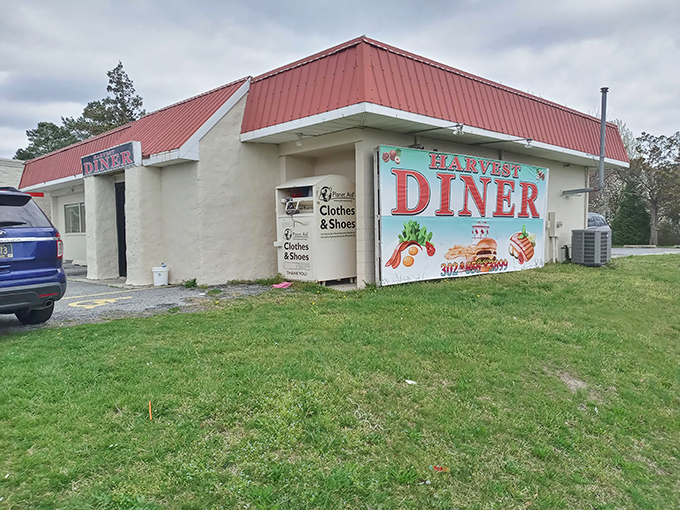 Harvest Diner: Red roof, golden pancakes! This roadside gem serves farm-sized portions that fuel Georgetown's hardest workers.