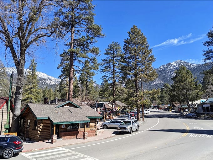 Idyllwild's mountain setting offers the perfect escape, where pine-scented air comes standard with every visit.