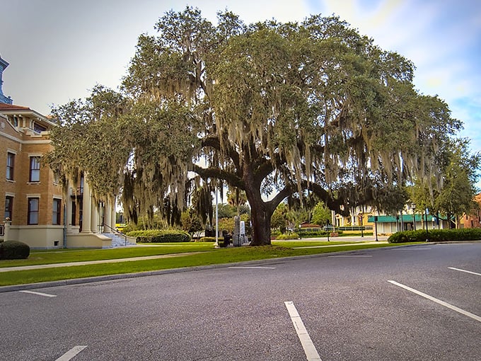 Grand trees create a glistening backdrop for Inverness' park spaces &ndash; proof that property doesn't require only urban touches to be breathtaking.