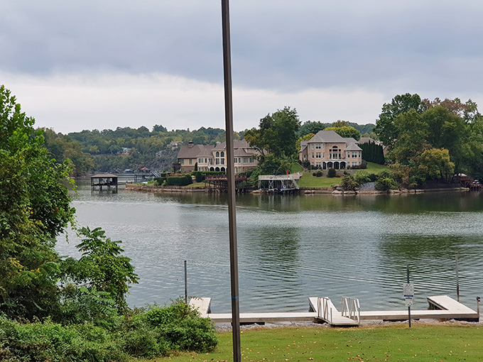 Johnson City's clear mountain river tumbles over ancient stones, creating nature's most soothing playlist.