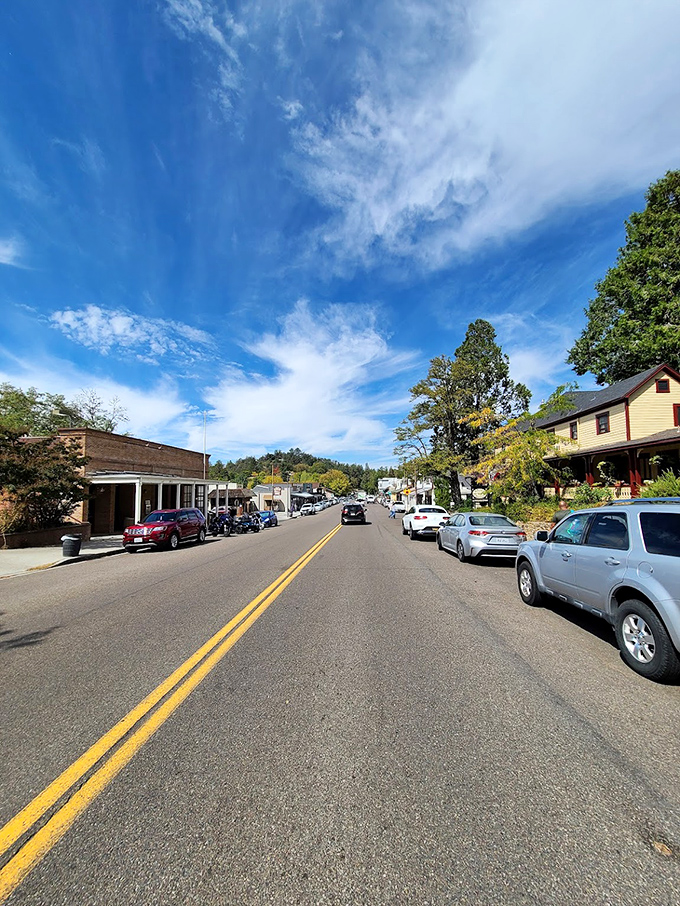 Julian's main street looks like a Gold Rush movie set that someone forgot to pack up, complete with wooden sidewalks and historic charm.