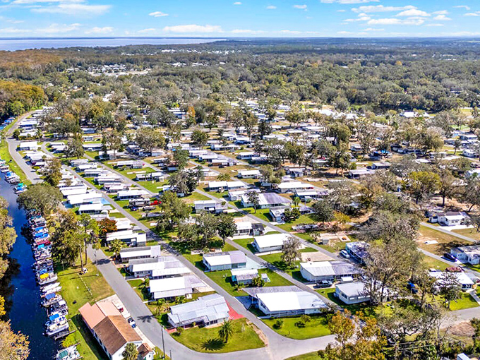 Leesburg's charming downtown invites exploration with its historic buildings and small-town atmosphere.