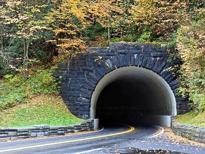 Driving through this stone tunnel feels like entering a secret world. Autumn leaves scatter like breadcrumbs at the entrance.