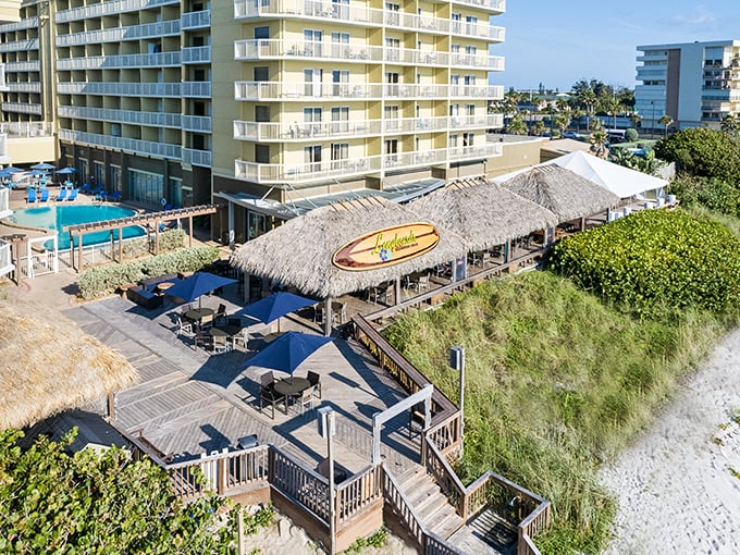 Longboards captures that perfect "endless summer" vibe. The surfboards on the walls have stories to tell if you listen closely.