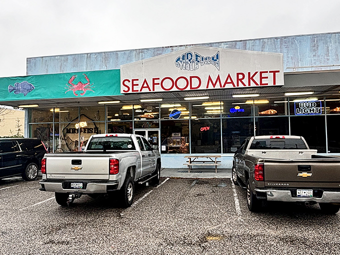 Behind that straightforward seafood market facade lies a pizza operation that would make Tony Soprano weep with joy.