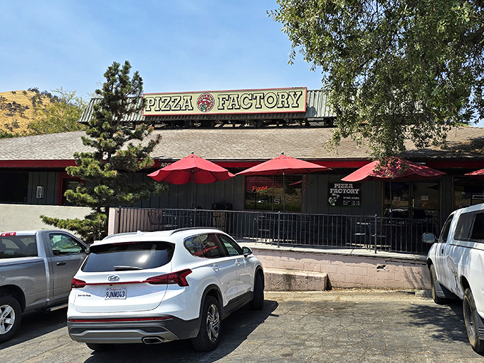 Pizza Factory's forest-adjacent location looks like the perfect spot to refuel after a day of communing with Sequoia's giants.