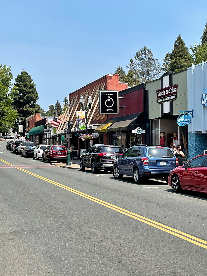 Placerville's historic Main Street&mdash;where Gold Rush dreams and modern mountain living create the perfect small-town cocktail.