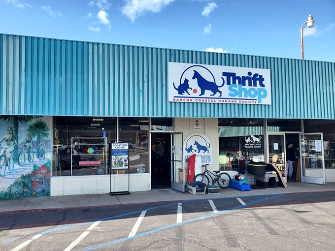 The turquoise building of Rancho Coastal Humane Society's thrift shop pops against the blue sky&mdash;as vibrant as the treasures waiting inside.