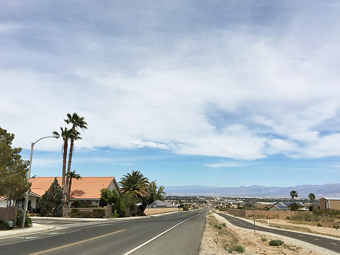 Desert living with a side of savings! These Ridgecrest palm-lined streets offer retirement dreams without requiring a Hollywood pension.