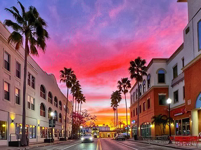 Safety Harbor sunsets paint the sky like a Floridian Monet, casting palm trees as silhouettes against nature's most spectacular light show.