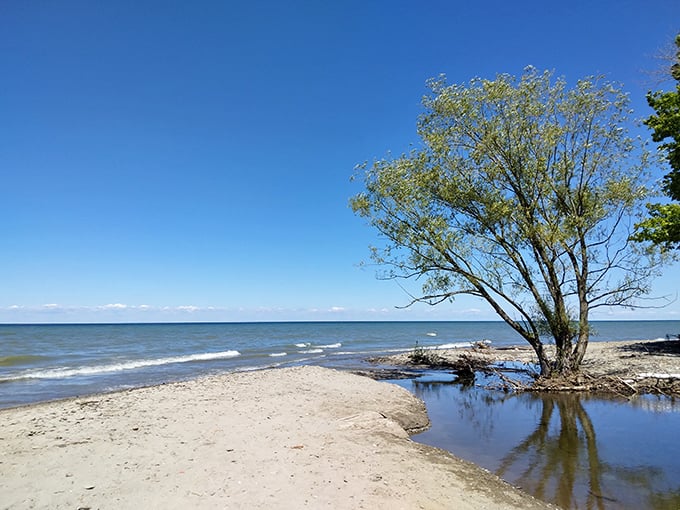 Lake Erie's horizon stretches endlessly at Shorewood Beach, where Pennsylvania pretends to have an ocean for a day.