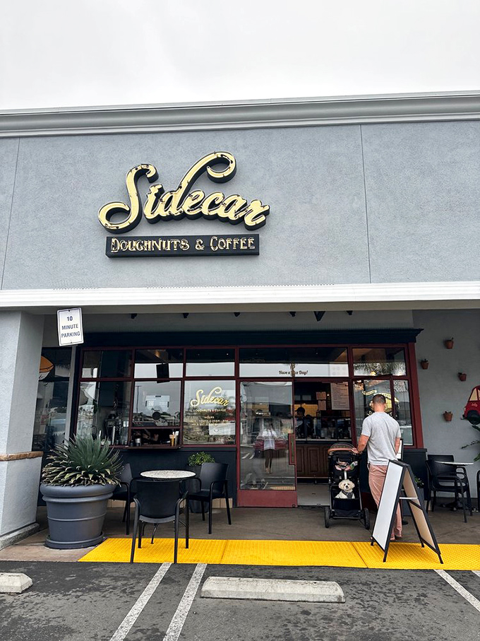 Sidecar's elegant storefront hints at the artisanal treats waiting inside. Donuts with a degree in deliciousness.