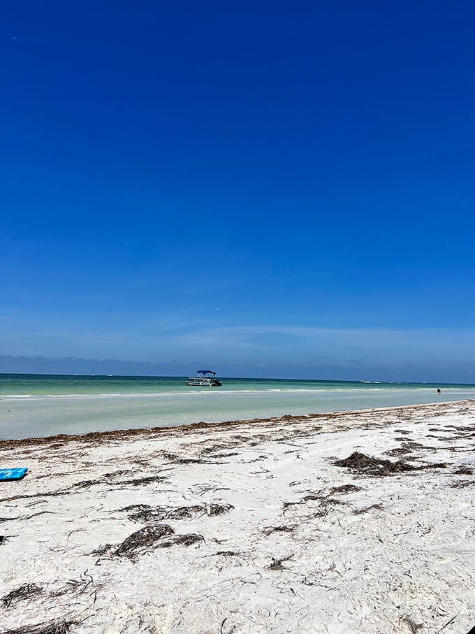 South Anclote Key's sandbar emerges like nature's own exclusive beach club. Membership requirement: a boat ride.