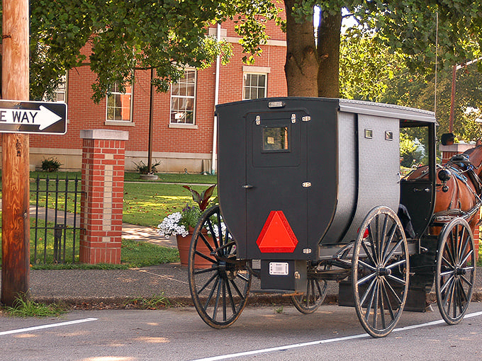 Vevay's tree-lined main street offers shade and charm in equal measure, inviting leisurely strolls and spontaneous shop visits.
