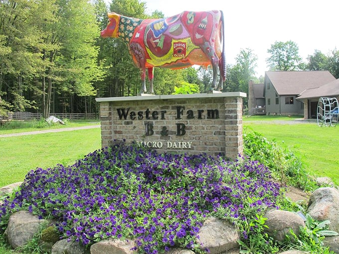 Nothing says "welcome to our dairy farm" quite like a cow statue that looks like it raided Willy Wonka's paint supply.