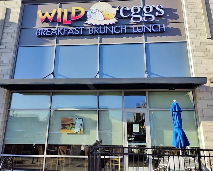 Wild Eggs: Modern breakfast with attitude. That sleek exterior promises your eggs won't be wearing the same old outfit.