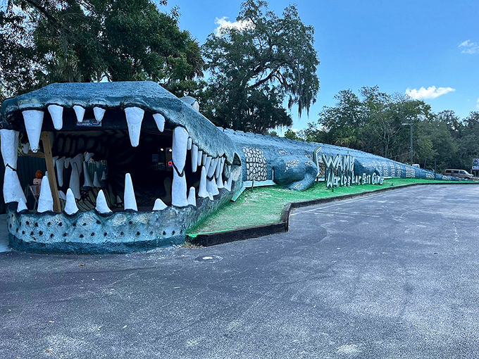 Open wide and say "CHOMP!" The world's largest concrete gator invites brave visitors to walk right into its massive jaws.