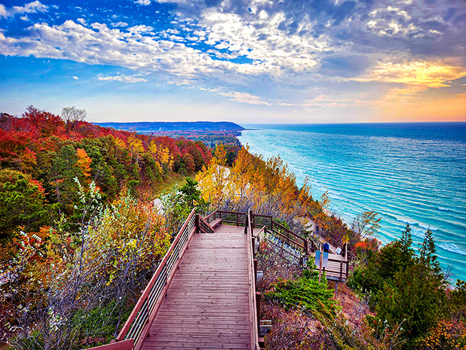 Nature's observation deck: where the forest meets the sky and Lake Michigan stretches to infinity.