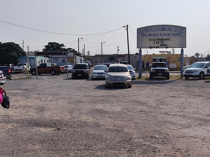 Fresh produce paradise! Colorful fruits and vegetables create an edible rainbow at this El Paso market destination.
