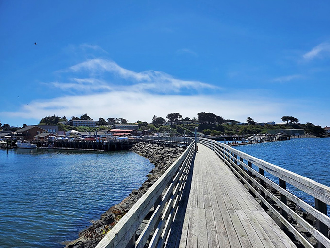 A wooden walkway with small-town soul. The harbor hums with coastal charm and salty air.