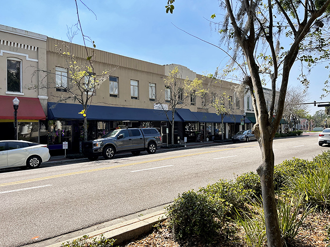 Tree-lined streets create natural shade for afternoon walks and morning coffee runs alike. 