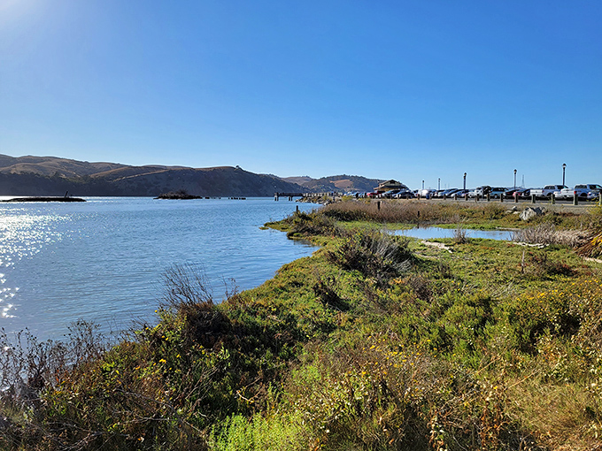 Morro Bay's wetlands&mdash;where nature provides the perfect foreground for those distant mountains. No filter needed here!