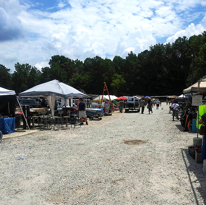 Tents stretch toward the horizon at Bill's, where early birds catch the best deals under Georgia pines.