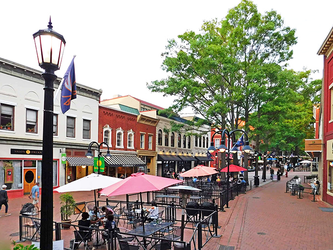 Outdoor dining under a canopy of trees makes Charlottesville feel like Europe without the airfare. A retirement spot where culture and comfort coexist beautifully.