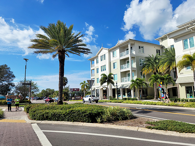 Palm trees and sunny streets make Dunedin&rsquo;s downtown a vibrant place to shop dine and enjoy the laid-back atmosphere.