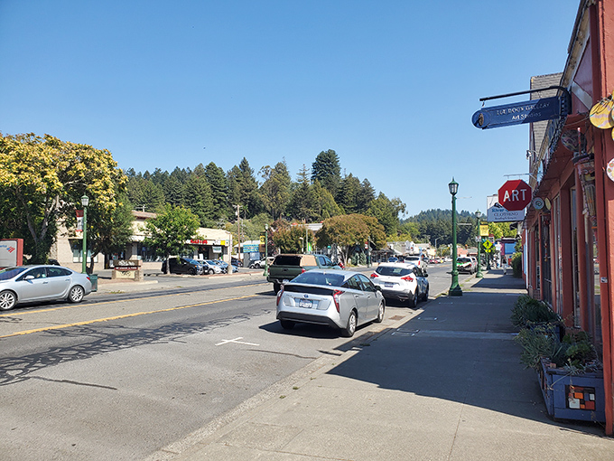 Guerneville's main drag &ndash; where redwood country meets small-town charm. Those distant evergreens stand like gentle giants watching over their favorite little town.