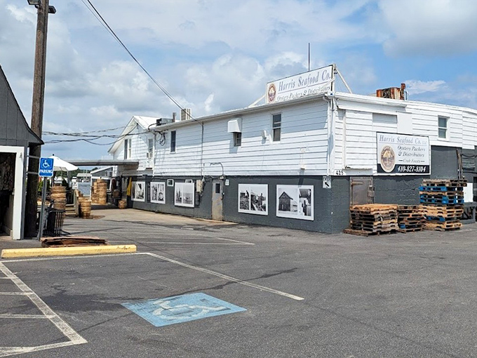 The weathered charm of Harris Crab House tells stories of countless crabs and satisfied customers through the years.