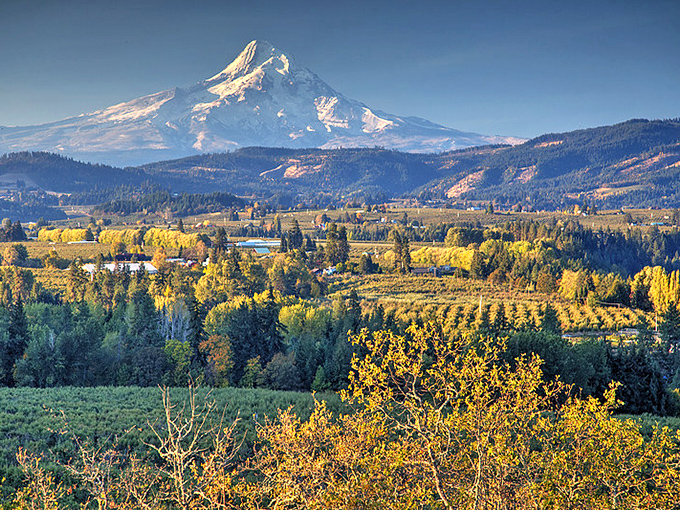 Hood River's orchards and vineyards bask in mountain glory. The kind of view that makes you forget whatever was stressing you out.