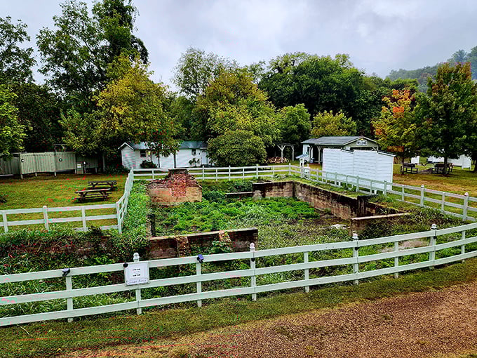 Community gardens flourish where neighbors share both vegetables and friendly mountain conversations.