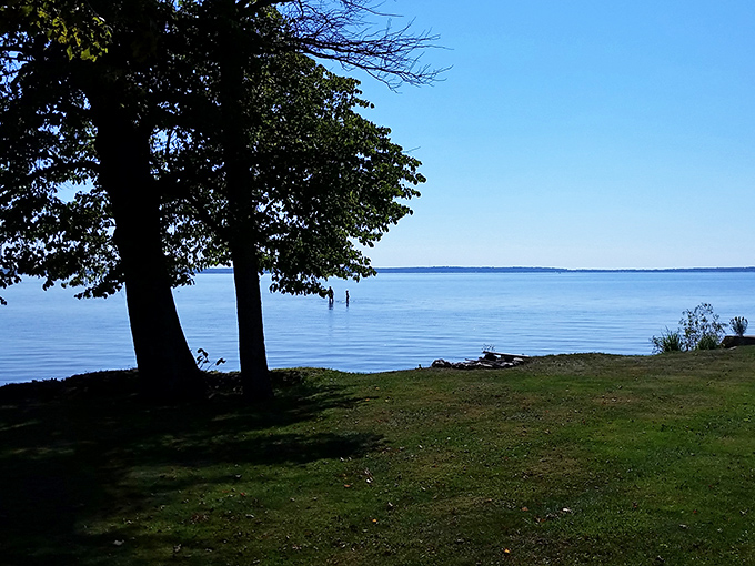 Houghton Lake's autumn glory on full display. Those trees dressed in fall colors are showing off for the camera!